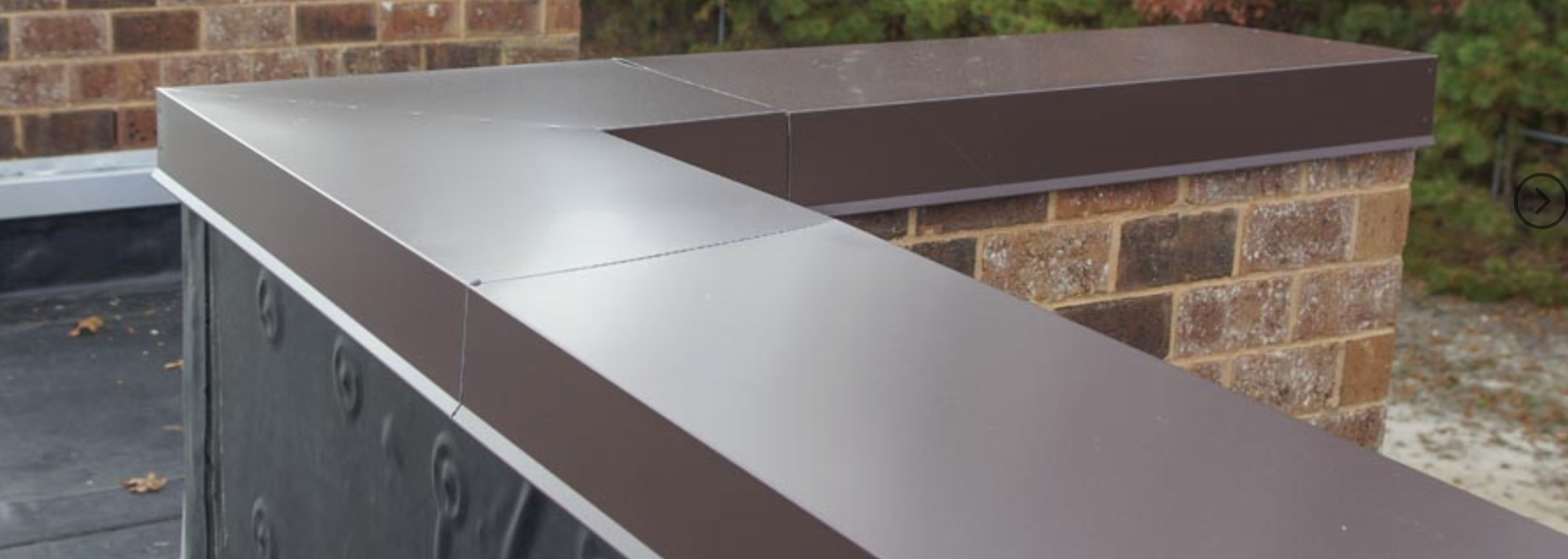 Parapeti - Skārdnieks M